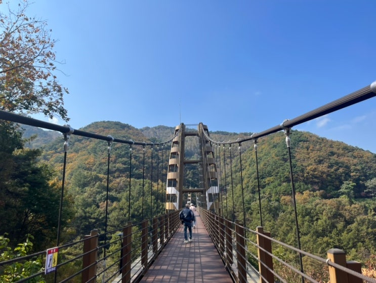 좌구산자연휴양림 증평 가볼만한곳 온통 자연 한적한 단풍 명소 네이버 블로그