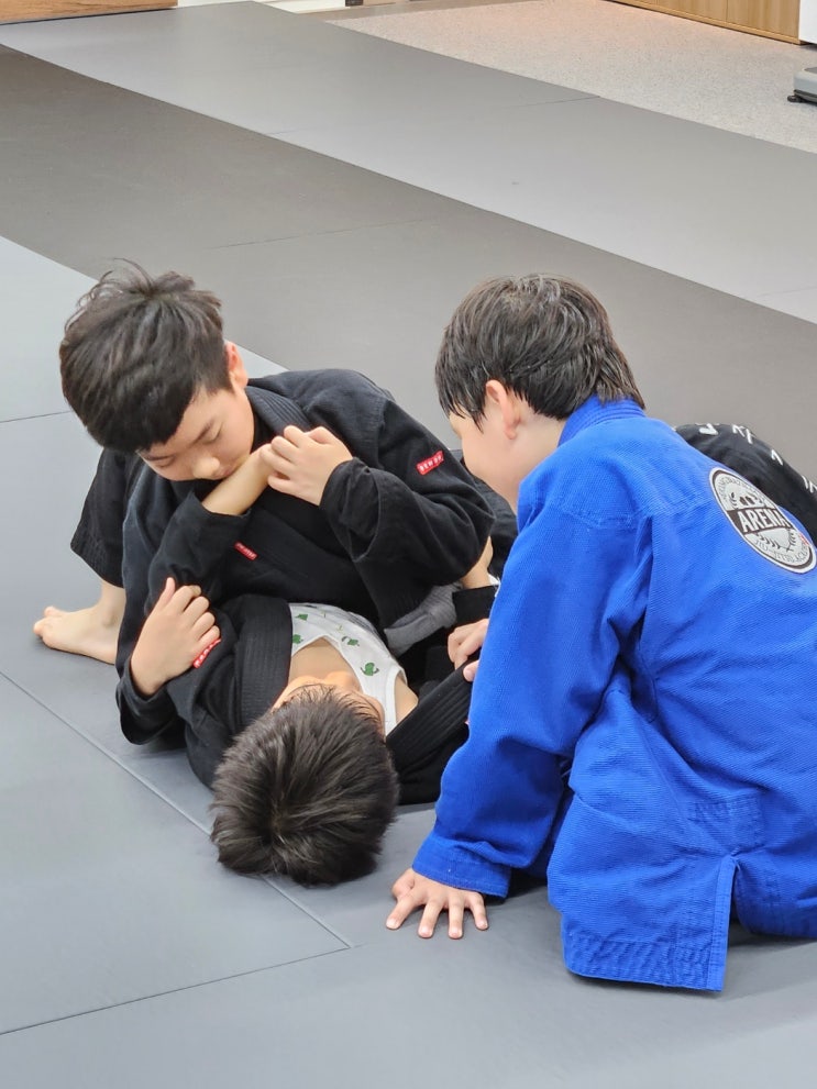 세종주짓수 아름동주짓수 코치님 이 기술은 저한텐 너무 쉬운데요 네이버 블로그