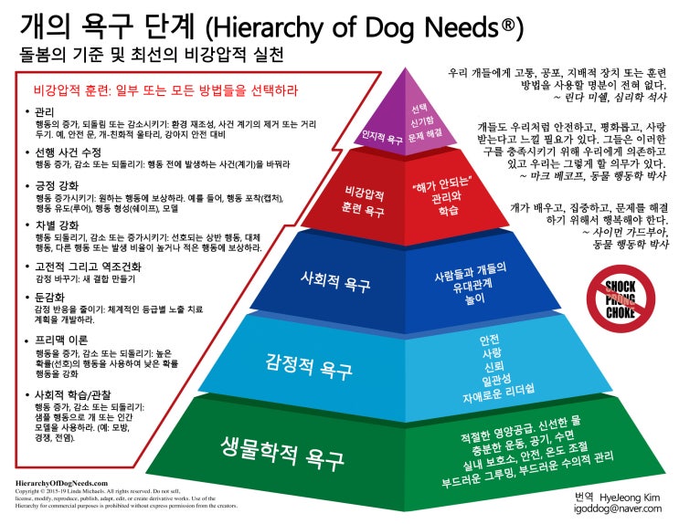 개의 욕구 단계(Hierarchy of Dog Needs) : 네이버 블로그