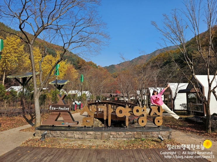 소백산 삼가야영장 경북 캠핑장 추천 국립공원 자연휴양림 가을 첫 캠핑 단풍 여행 반달이 굿즈 자판기 네이버 블로그