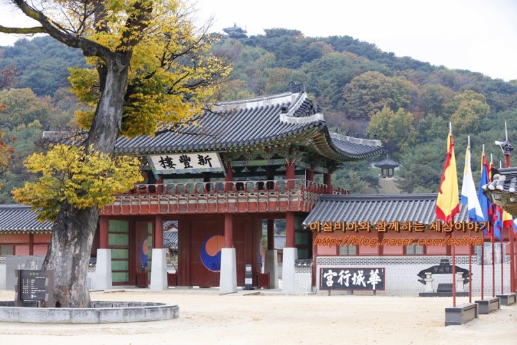 서울근교 드라이브 코스 수원 화성행궁 둘레길 수원 화성축제 미디어아트쇼 네이버 블로그