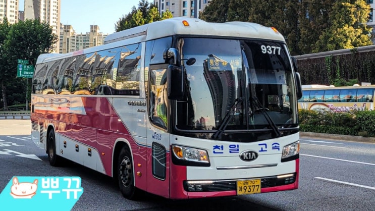 [고속]천일여객 9377호 : 네이버 블로그