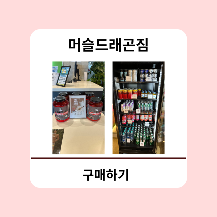 인천논현동헬스장 Pt 맛집 머슬드래곤짐 Pt맛집에서 Pt를 더 효과적으로 이끌기 위한 노력 네이버 블로그