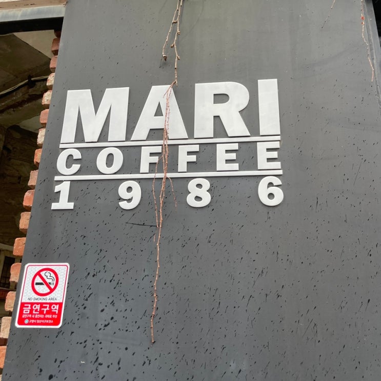 [일산/중산] 분위기 좋은 동네 카페 “MARI coffee 1986” : 네이버 블로그