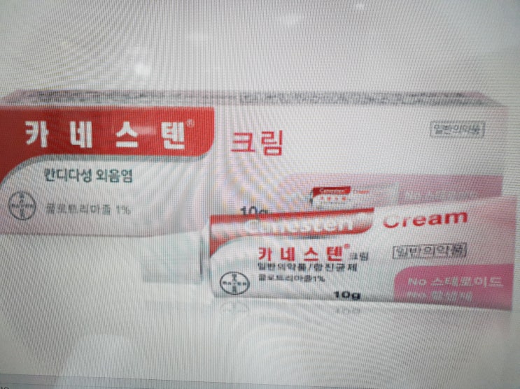 칸디다질염 질가려움 해결하는 연고 비교 카네스텐 비판텐 스테로이드 항생제 연고 등등 네이버 블로그