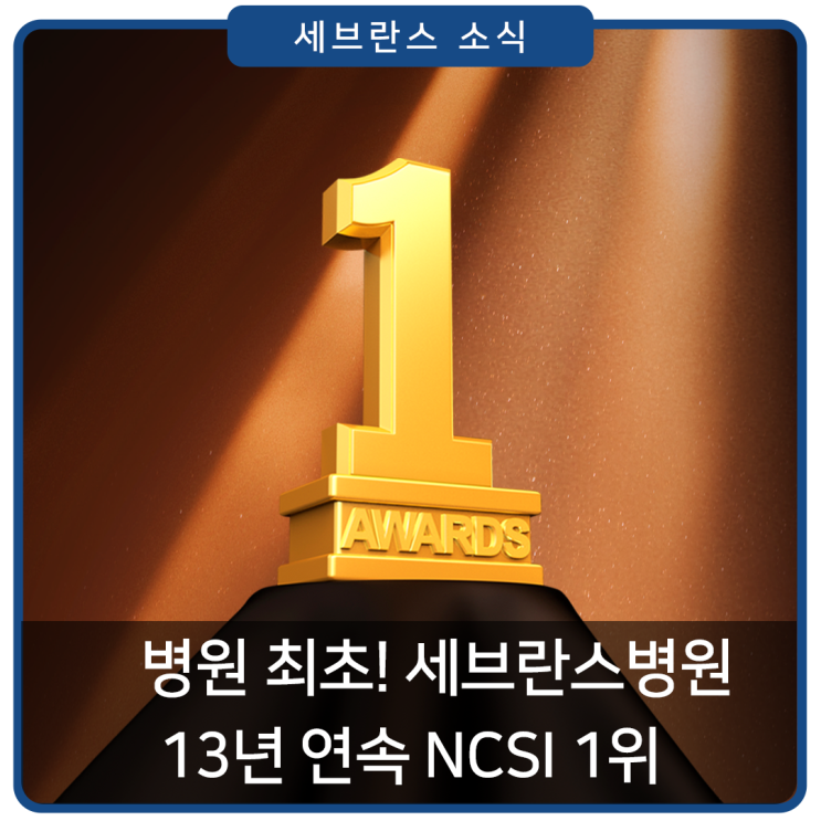 국내 병원 최초, 세브란스병원 13년 연속 NCSI 1위! (국가고객만족도) : 네이버 블로그