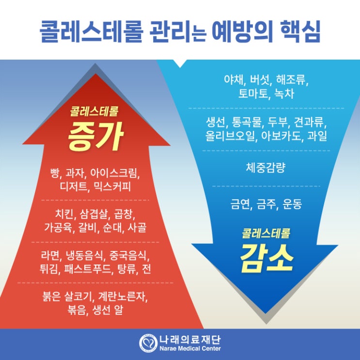 고지혈증 콜레스테롤 높이는 음식 And 콜레스테롤 낮추는 방법 네이버 블로그