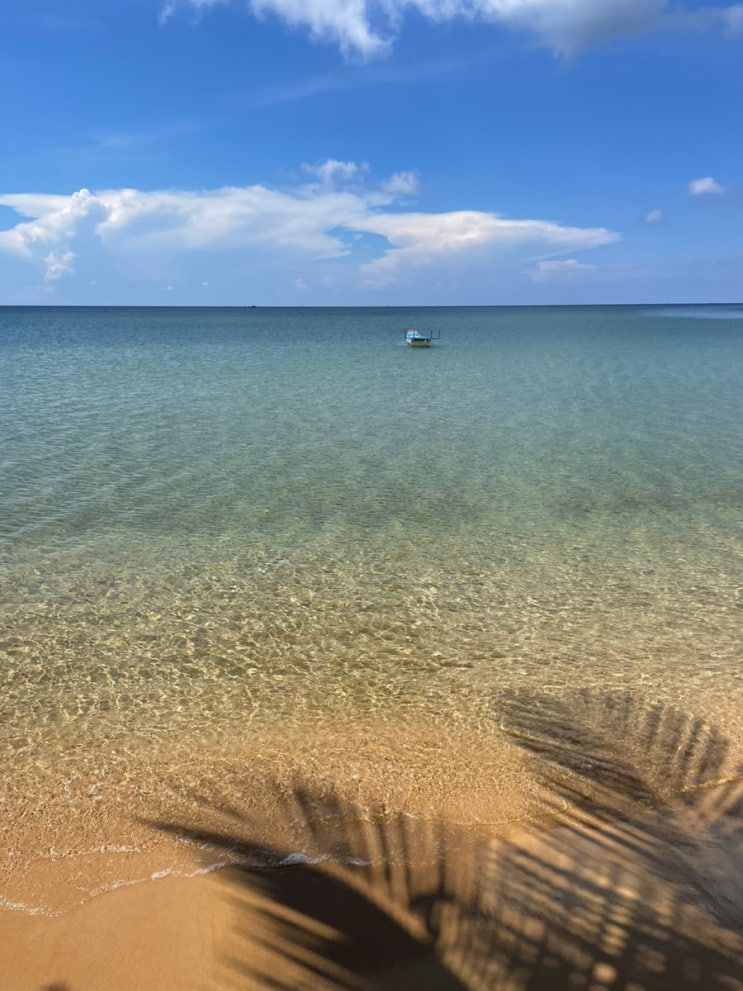 [푸꾸옥여행]Day5)마지막날 오토바이타고 푸꾸옥한바퀴,분짜하노이 푸꾸옥,유쥬스파 : 네이버 블로그