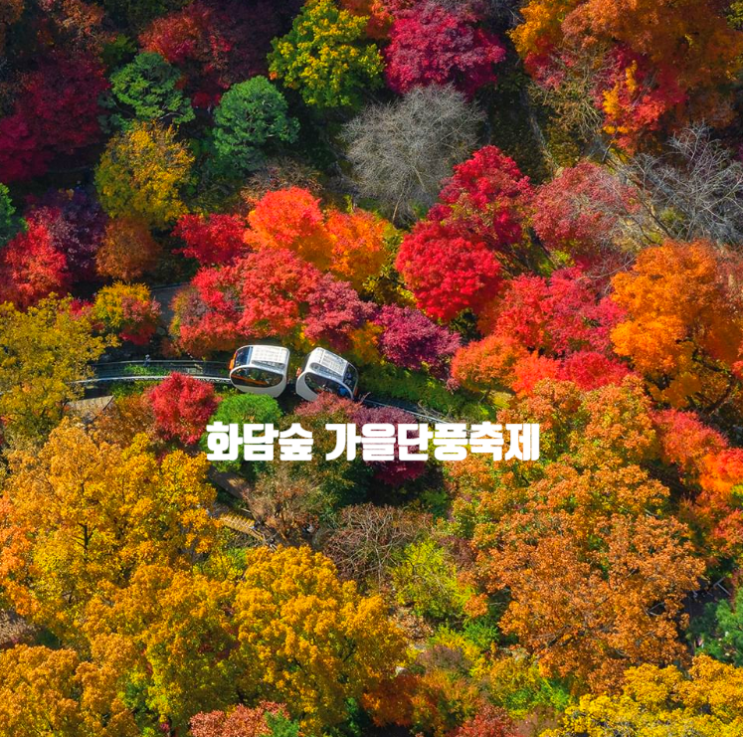 화담숲 주차팁부터 동계 휴원 소식 화담숲 가을단풍축제 기본정보 모노레일 입장료 총정리 네이버 블로그
