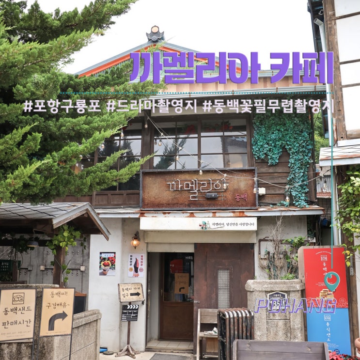 포항 구룡포 가볼만한곳 드라마 동백꽃 필 무렵 촬영지 까멜리아 카페 네이버 블로그