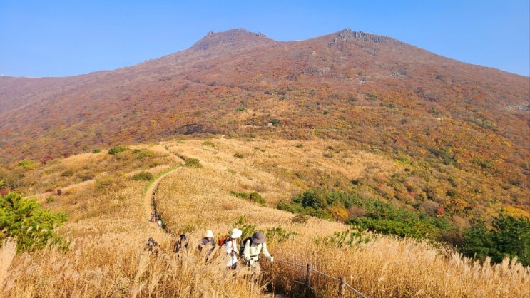 잠언14장1절~16절(진실함과 성실함으로 자기 집을 세우는 사람) : 네이버 블로그
