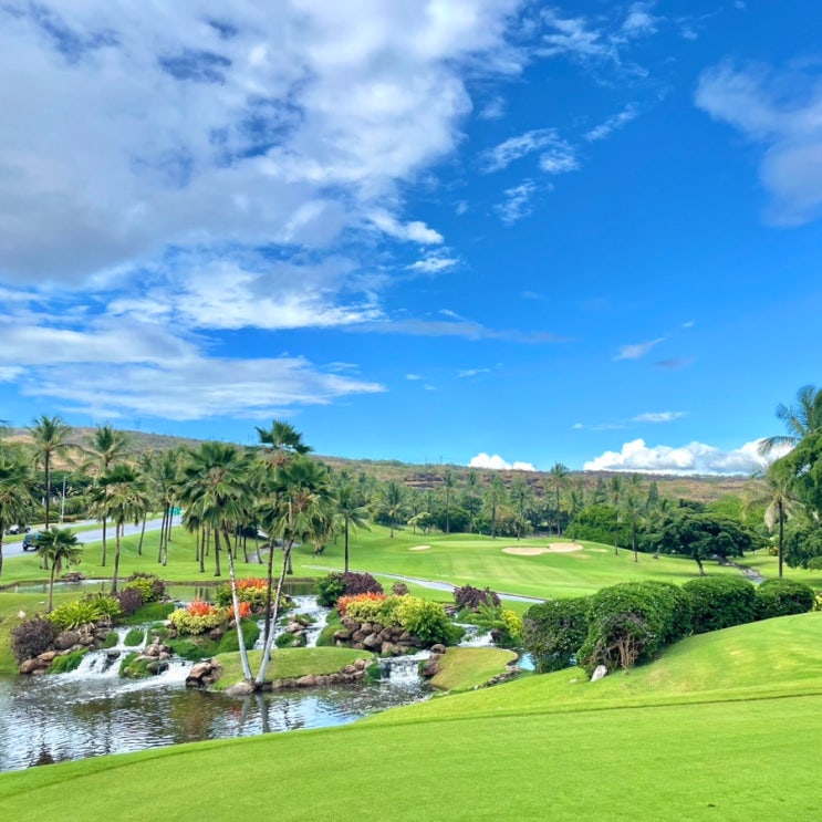 하와이 골프장 골프나우로 다녀온 코올리나 골프 해외골프여행 추천 : 네이버 블로그