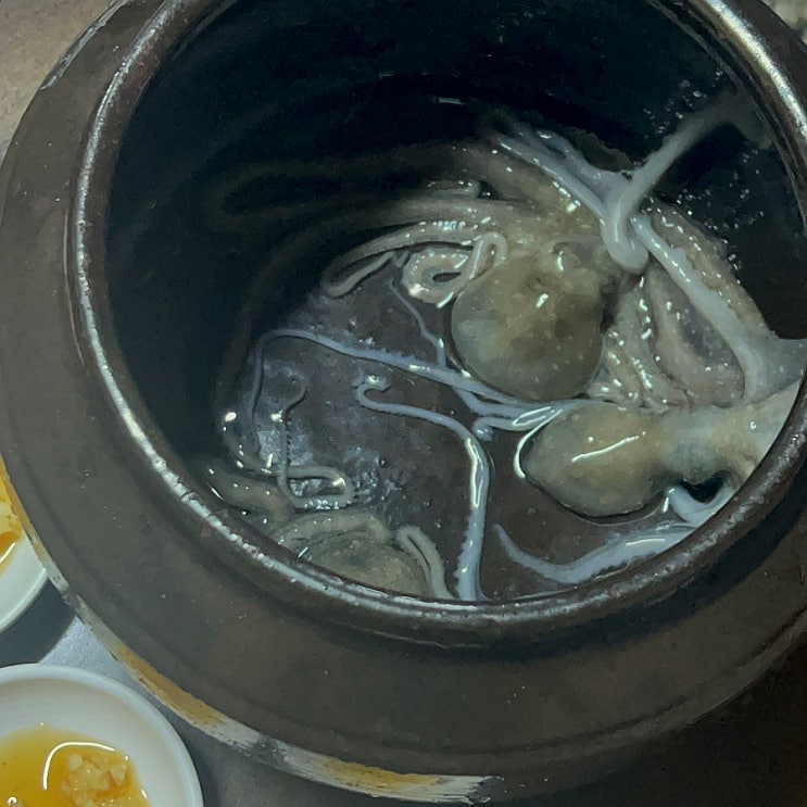 범일동 노포 숨은 맛집 연포탕 호롱구이 낙지계란말이 무봤나 무봤나세발낙지 네이버 블로그