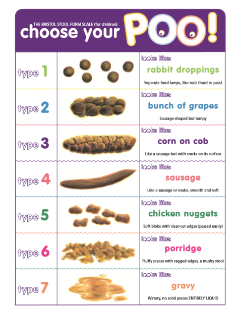 대변의 굳기를 나타내는 척도 Bristol stool scale chart : 네이버 블로그