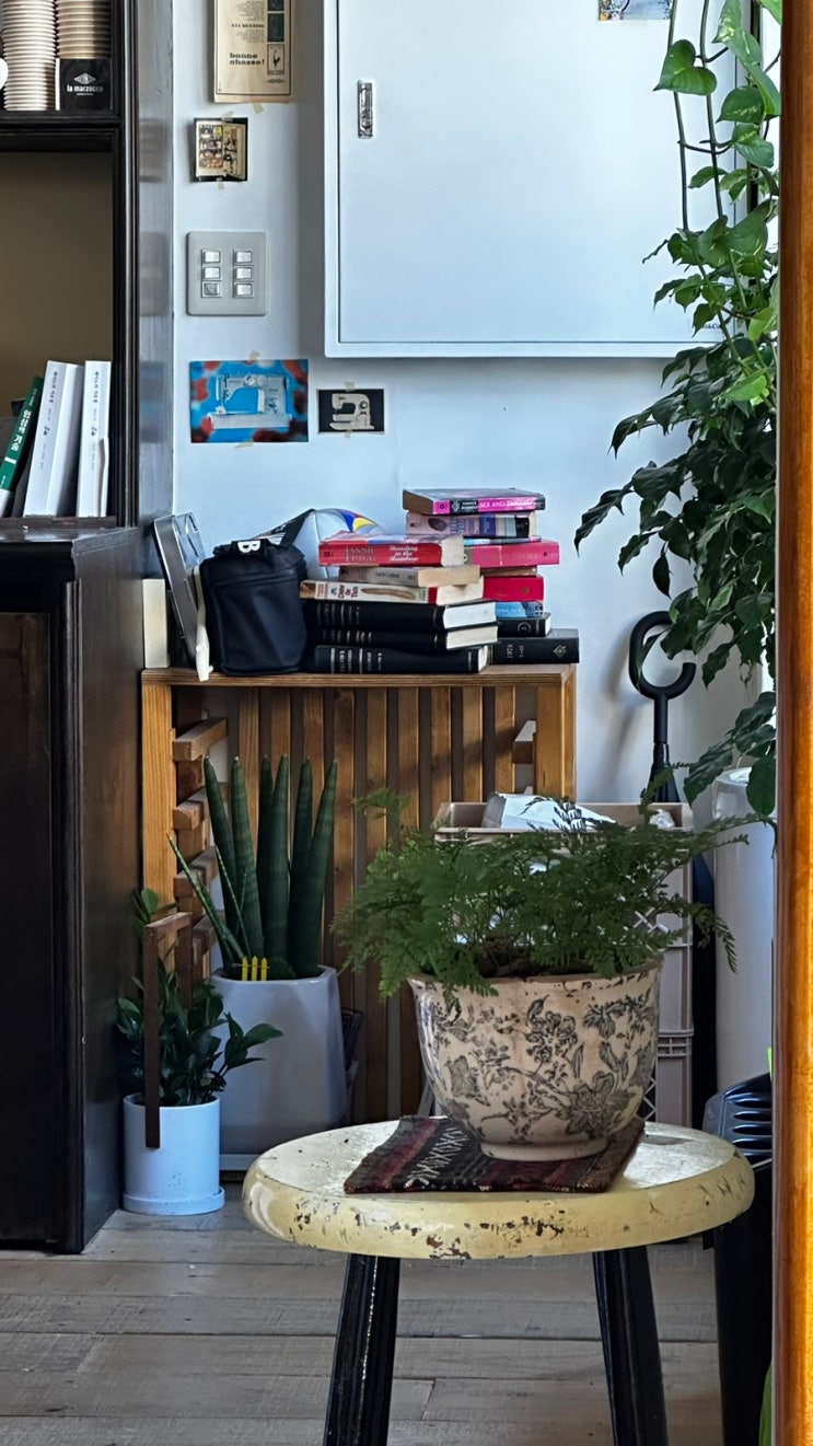 Live, Laugh, Love : 네이버 블로그