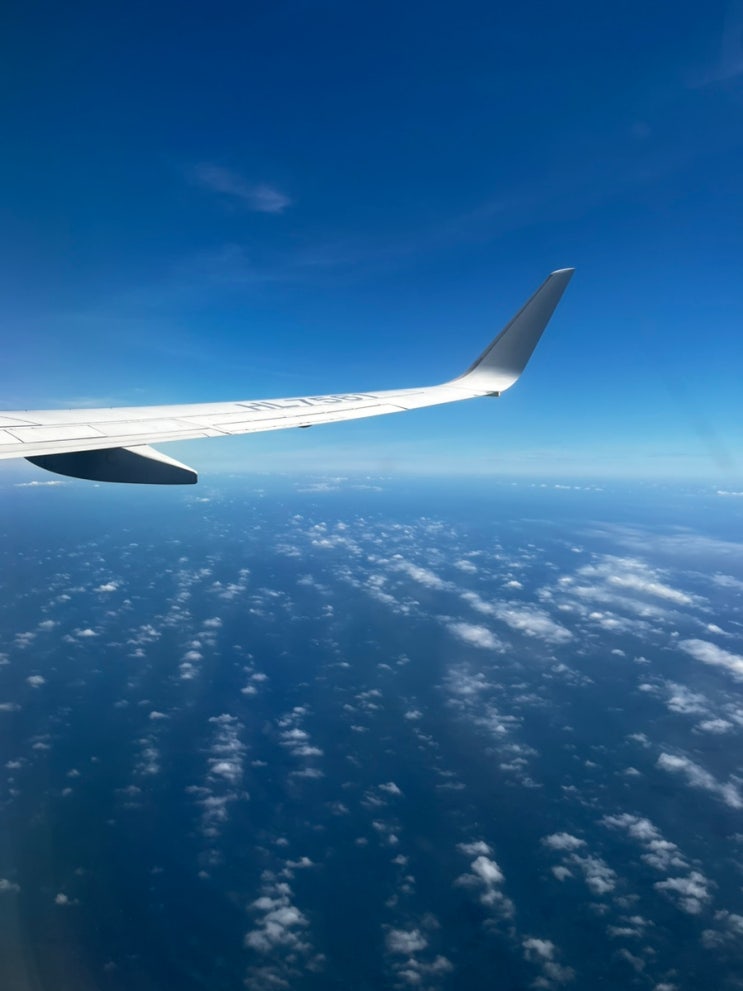 67. 그리운 제주도 여행기 : 네이버 블로그