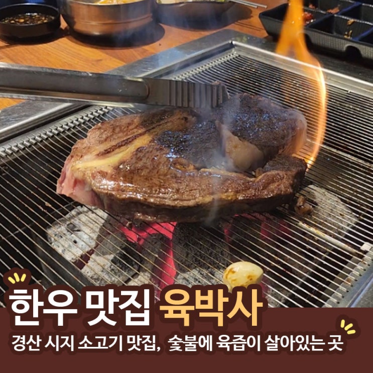 경산 시지 소고기 맛집 육박사 질 좋은 한우를 가성비 있게 회식장소로 추천 네이버 블로그