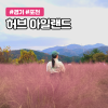 포천 허브아일랜드 핑크뮬리 입장료 할인 점등시간 등 네이버 블로그