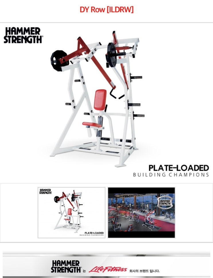 옥포 헬스장 거제 피티 메카짐 해머스트렝스 DY Row 기구 입고 예정 안내 : 네이버 블로그