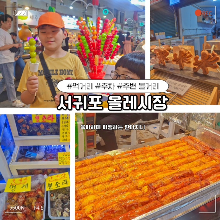 제주 서귀포 올레시장 먹거리 다양하고 기념품 사기 좋아요w주차장주변 볼거리 네이버 블로그