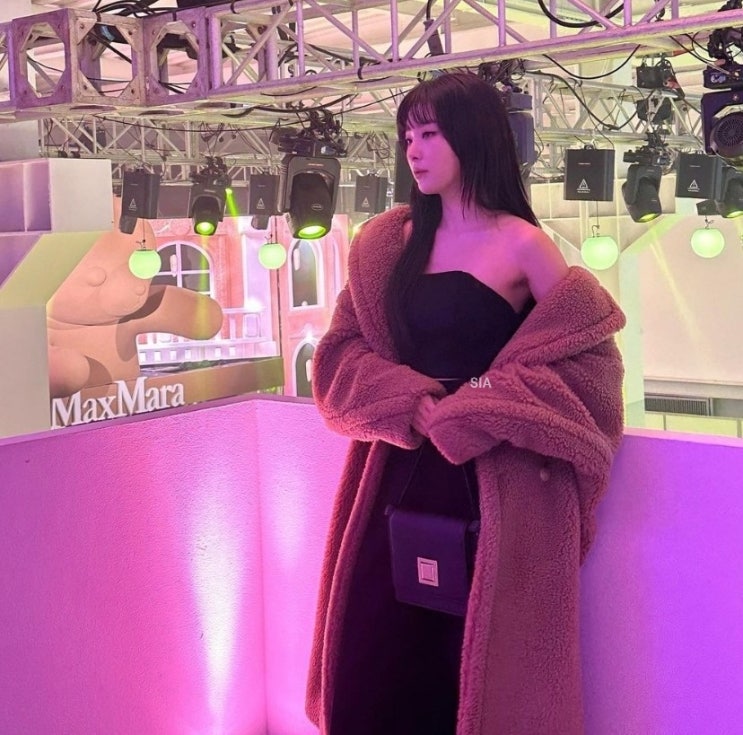 슬기 사복 속 카멜 코트 막스마라 테디베어 롱코트 가격은? : 네이버 블로그