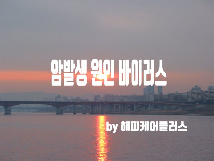 암의 발생 원인 바이러스 7개 - B형 C형 간염, 엡스타인바(EB), 레트로바이러스 등 : 네이버 블로그