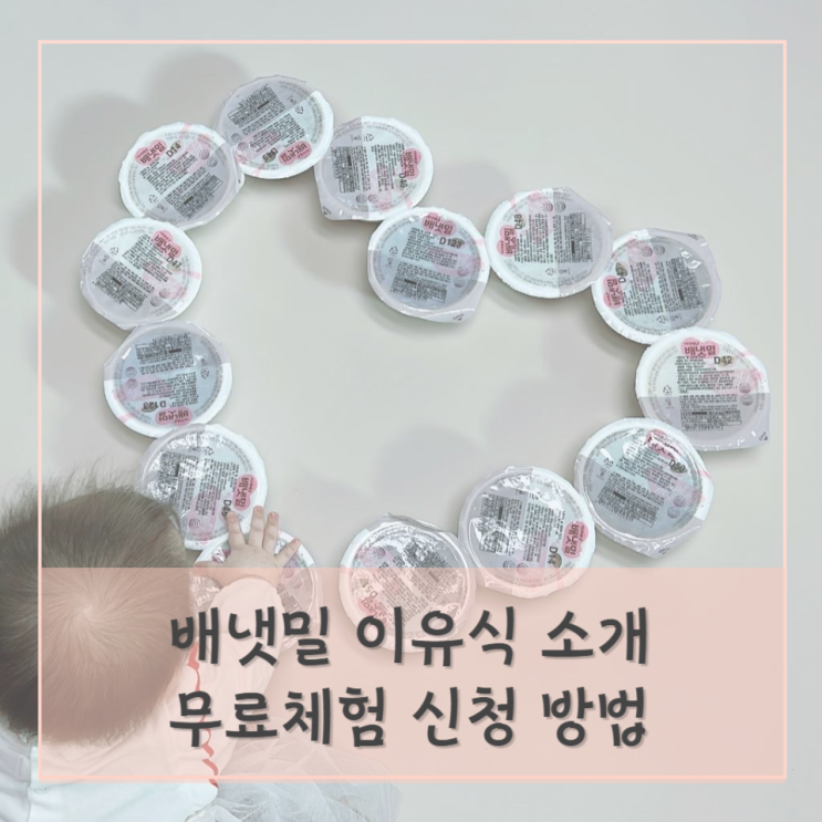 배냇밀 이유식 시판이유식 브랜드 배냇밀 체험 신청방법 네이버 블로그