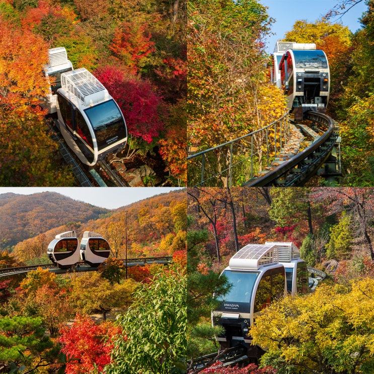 경기도 단풍 명소 가볼만한곳 경기도 광주 곤지암 화담숲 모노레일 네이버 블로그