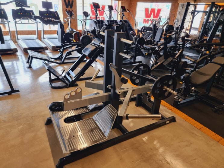 금촌 헬스장 더블유짐 더블유짐 벨트스쿼트 파워타워 입고 소식 네이버 블로그