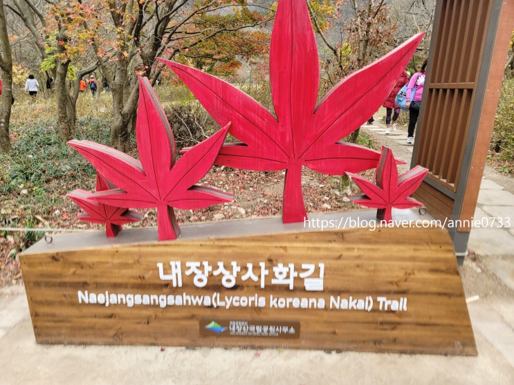 정읍 내장산 단풍 실시간 전라도 가을 여행 이제 마지막이에요 네이버 블로그