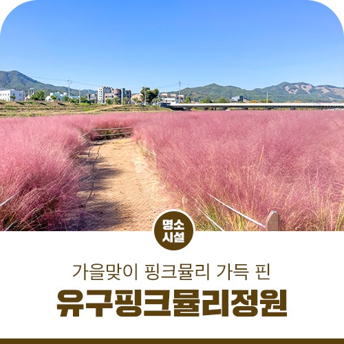 예쁜 풍경을 담고 있는 가을 여행지 공주 유구 가볼 만한 곳 유구핑크뮬리정원 네이버 블로그