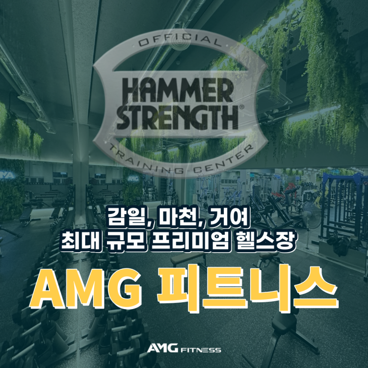거여동헬스장 11월 이벤트 안내 네이버 블로그
