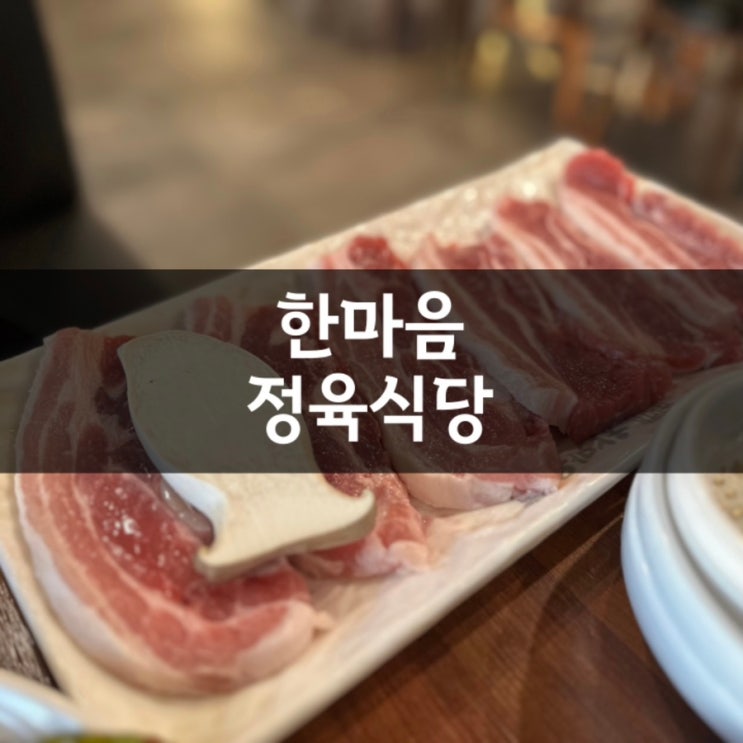 송도 맛집 한마음 정육 식당 후기타임스페이스 맛집 송도 삼겹살 맛집송도 소고기 맛집송도 정육 식당 네이버 블로그