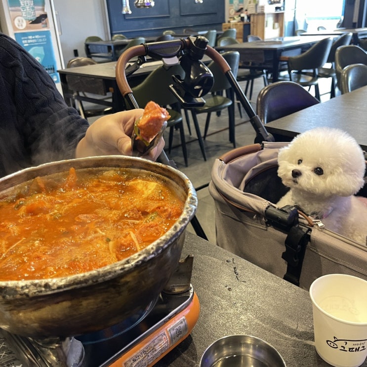 애견 동반 식당 제주공항 그때그집 에서 제주 첫날 간단 점심 해결 네이버 블로그