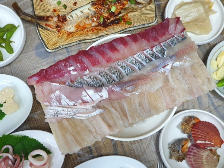 창원 상남동 횟집 번개회센터 자연산 회 전문 찐맛집 네이버 블로그
