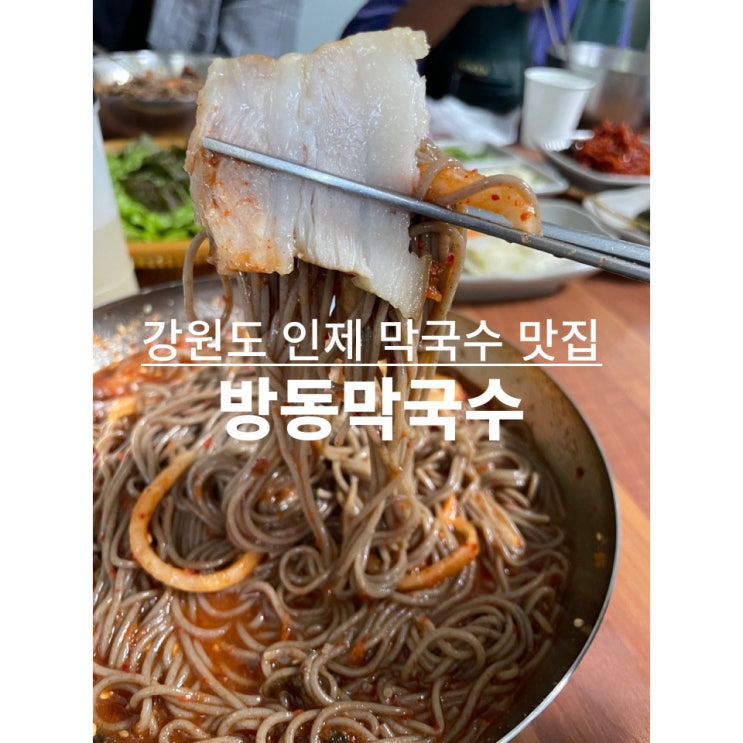 강원도 인제 현지인 추천 막국수 맛집 숲속의 빈터 방동막국수 내돈내산 먹방 후기 네이버 블로그