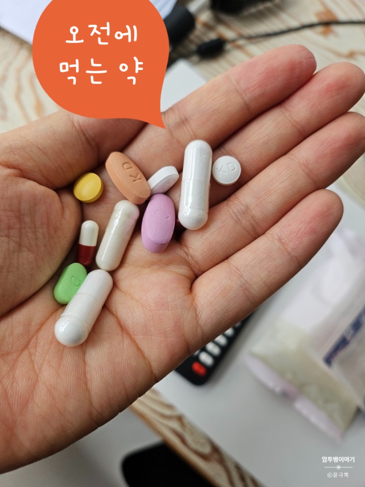 삼중 양성 유방암 4기 아만자의 투병일기 네이버 블로그