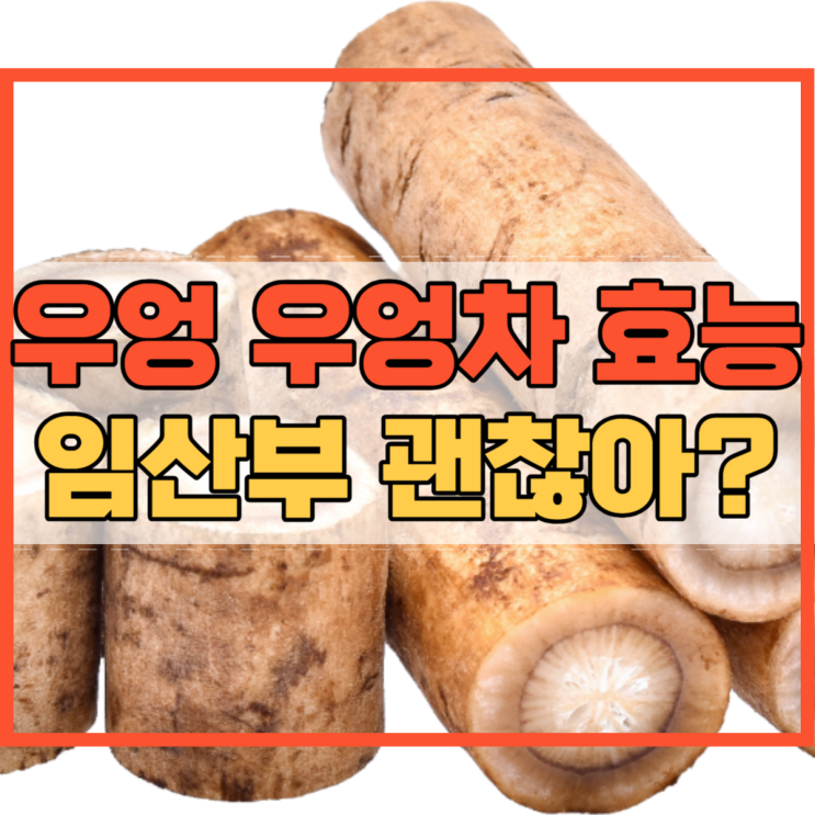 우엉 효능 및 우엉차 효과 임산부 먹어도 될까 네이버 블로그
