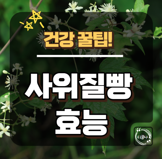 [사위질빵 효능 총정리] + 먹는법 : 네이버 블로그