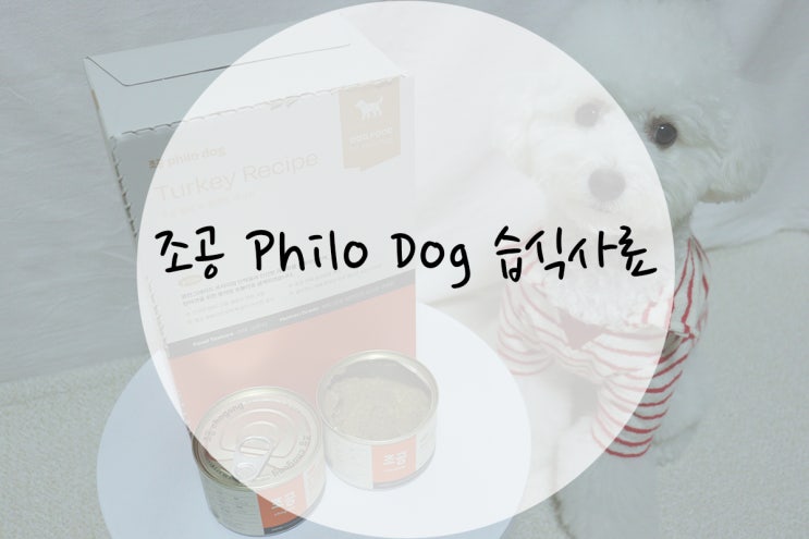 강아지 습식 사료 추천 조공 Philo Dog 기호성 최고 : 네이버 블로그