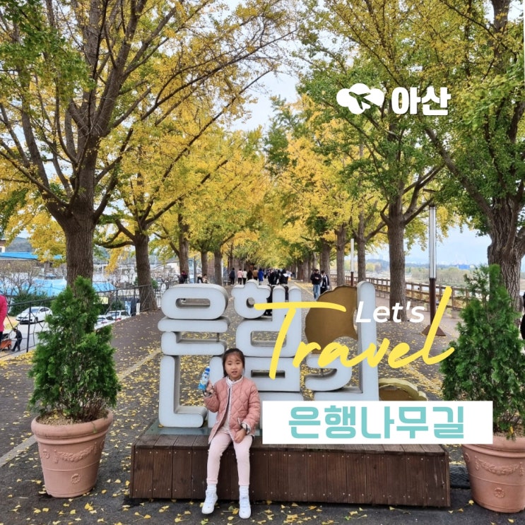 아산 곡교천 은행나무길 주차장 단풍구경 여행 지금 가볼만한곳 네이버 블로그