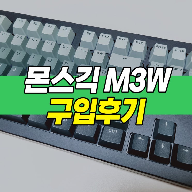 몬스긱 m3w 샀어요 : 네이버 블로그