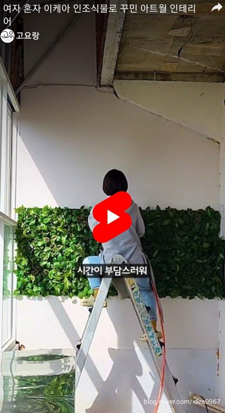 평택 독채 펜션 아차 이걸 자랑 안 했었네 플랜테리어🌿아산 천안 당진 인근 네이버 블로그