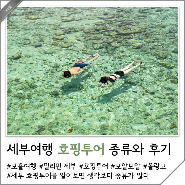 필리핀 세부여행 세부 호핑투어 종류 모알보알 스노클링 추천 예약 가격 후기 네이버 블로그