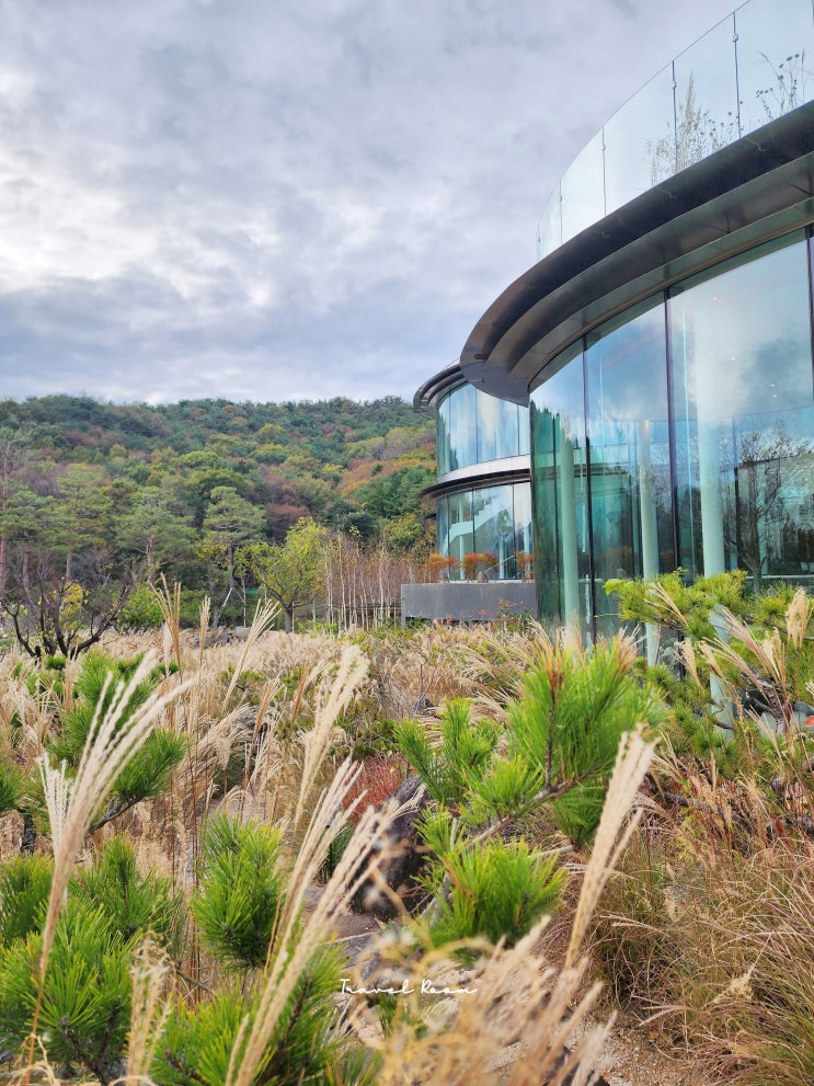 울산 여행 미지의(MIJIUI) 갤러리 카페 실내 가볼만한곳 : 네이버 블로그