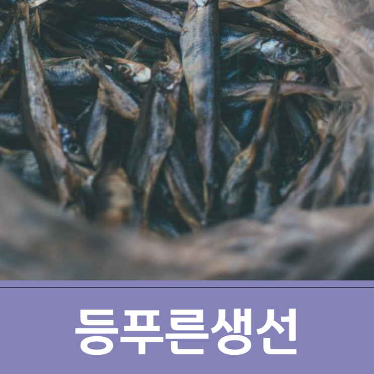 등푸른생선 종류 생선에 오메가 3가 많은이유 네이버 블로그