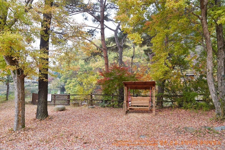 지리산생태탐방원 6인실 복층 1박 숙박 11월 3일~4일 #내돈내산 : 네이버 블로그