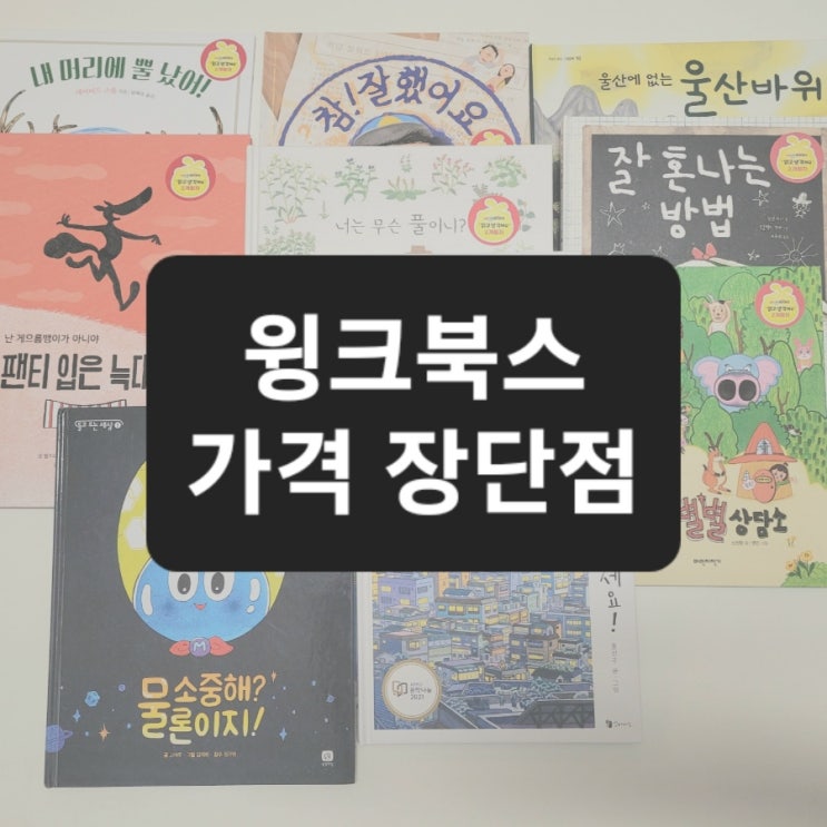 매월 자동으로 오는 책대여 윙크북스 가격 장단점 네이버 블로그