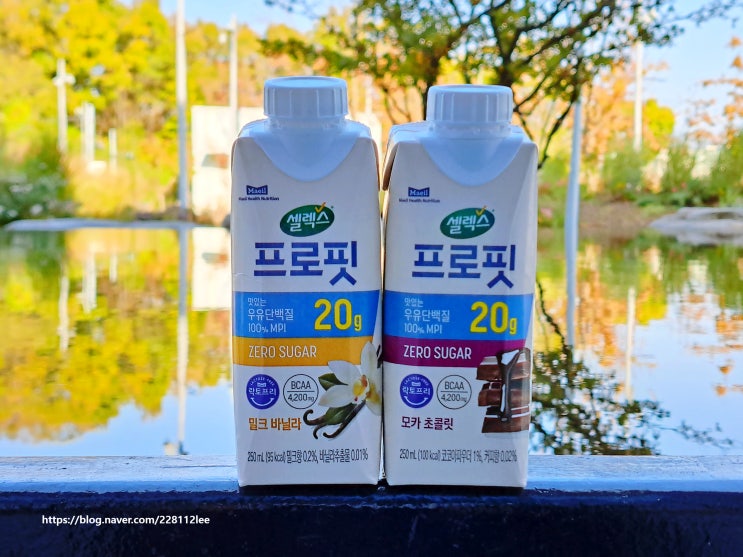 편의점 프로틴 음료 이젠 프로핏 우유단백질 선택 네이버 블로그