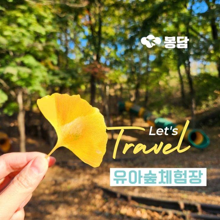 화성 봉담 유아 숲체험장 체험원 경기도 숲속 놀이터 네이버 블로그
